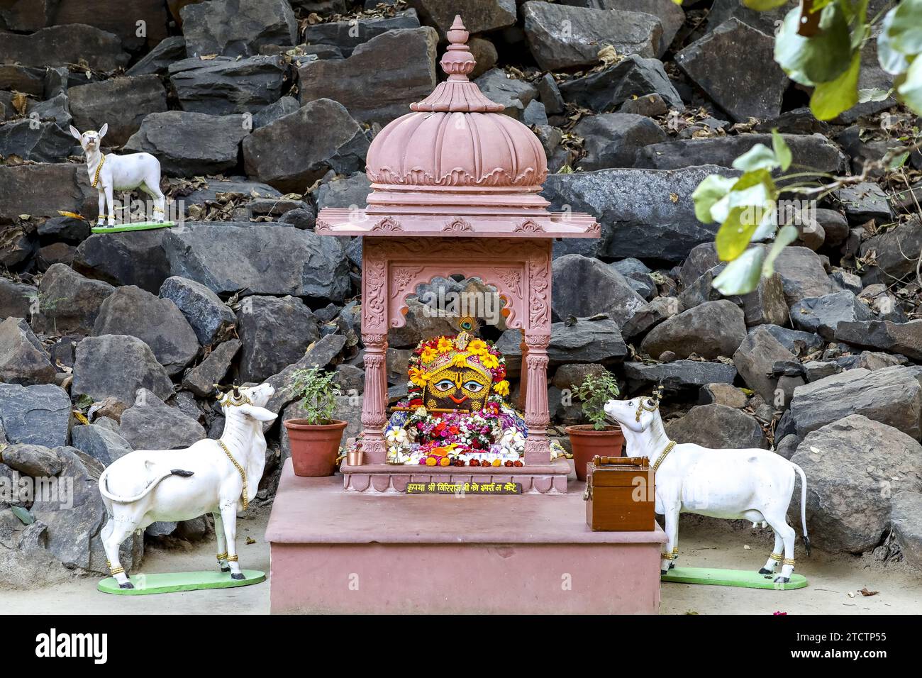 Shila (sacred stone) worshiped in Govardhan Ecovillage, Maharashtra ...