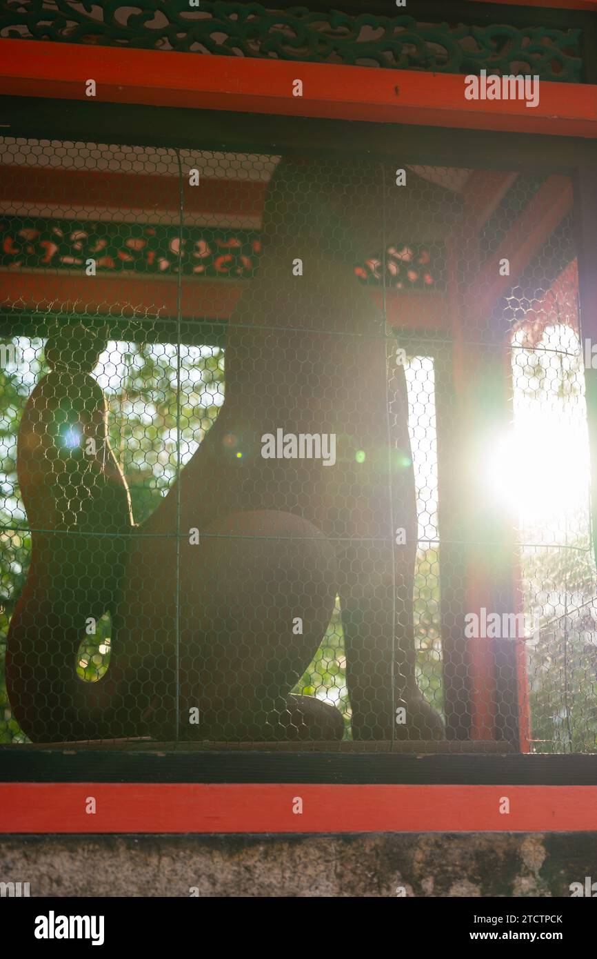 Kyoto, Japan Fox statue at Fushimi Inari Shrine ( Fushimi Inari Taisha ...