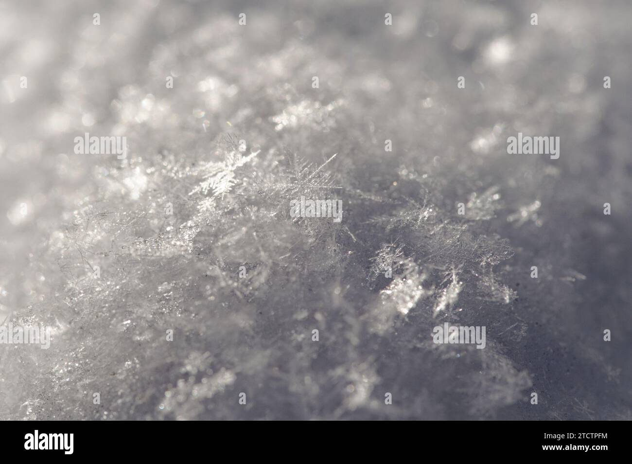 First snow storm hi-res stock photography and images - Alamy