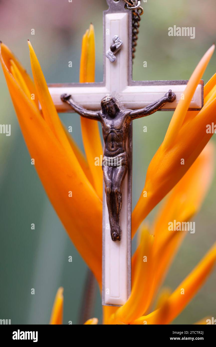 Crucifix of Jesus on a tropical flower. Pray in nature Stock Photo - Alamy
