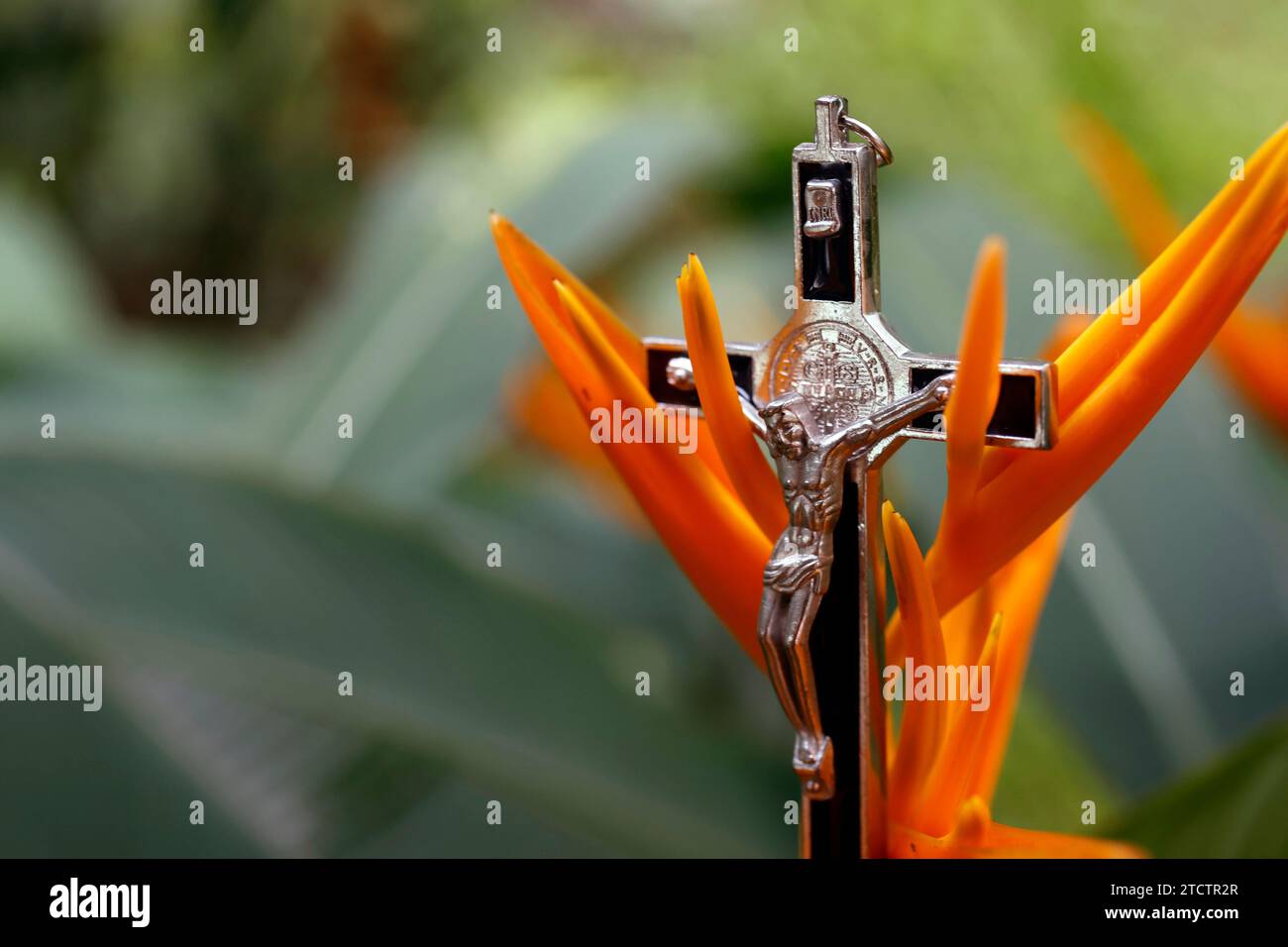 Crucifix of Jesus on a tropical flower. Pray in nature Stock Photo - Alamy