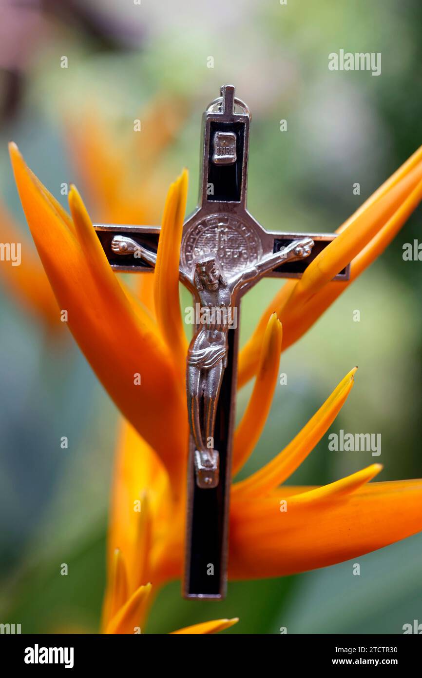 Nature crucifixion hi-res stock photography and images - Alamy