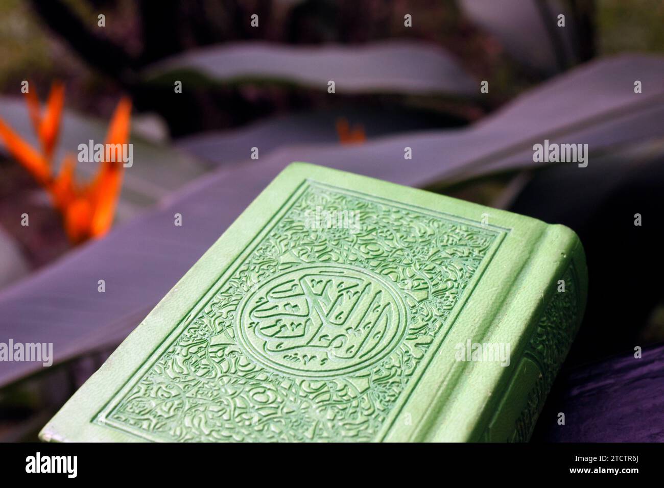 Muslims holy book hi-res stock photography and images - Alamy