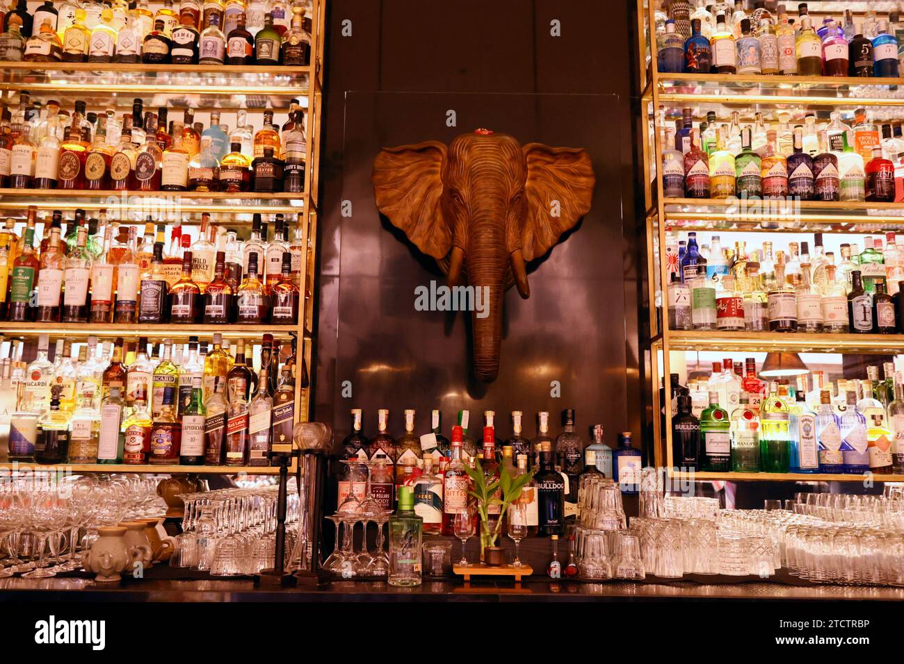Elephant Bar at the Raffles Hotel Le Royal Stock Photo - Alamy