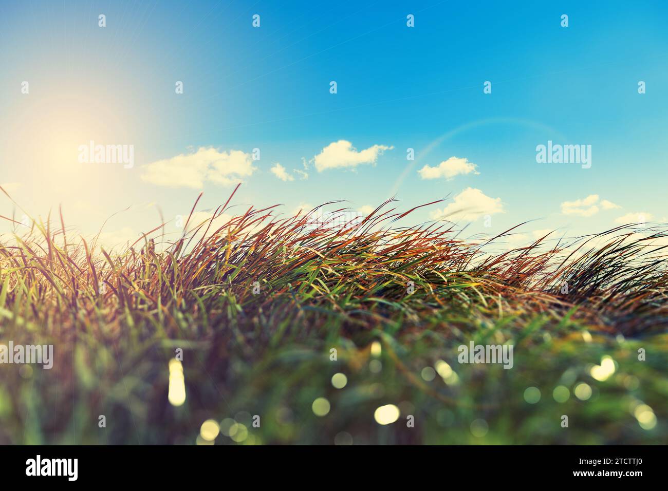 Green grass and sunrise sky scenery background Stock Photo - Alamy