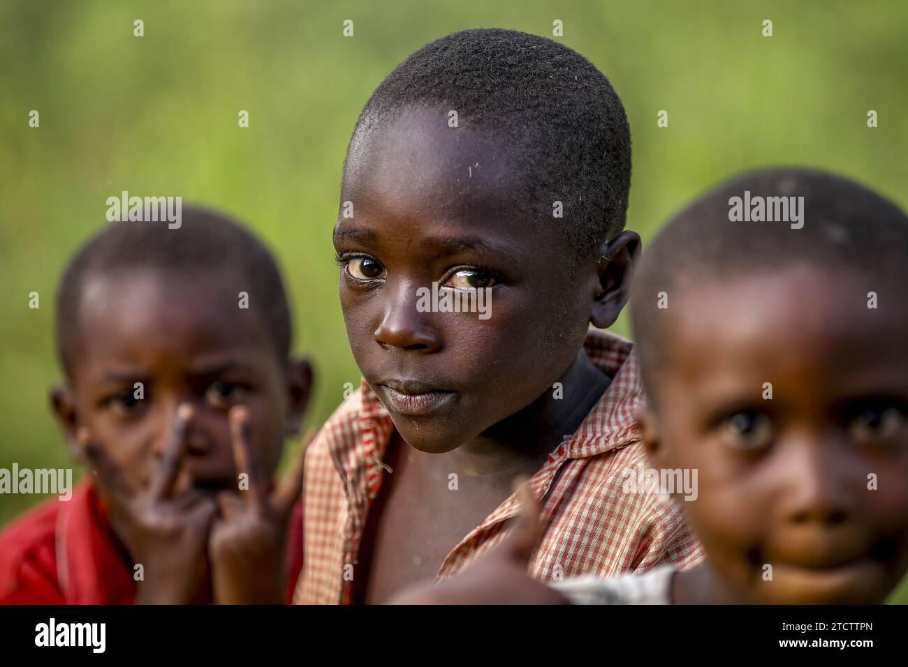 3 boys near Karongi, Rwanda Stock Photo - Alamy