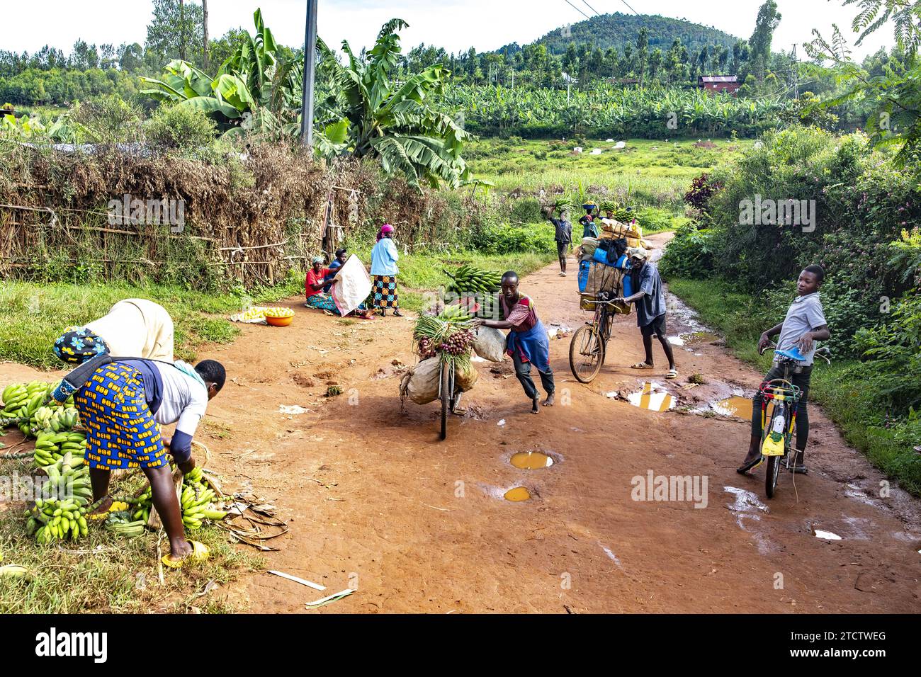Villagers going to market to sell bananas and other goods, Southern ...