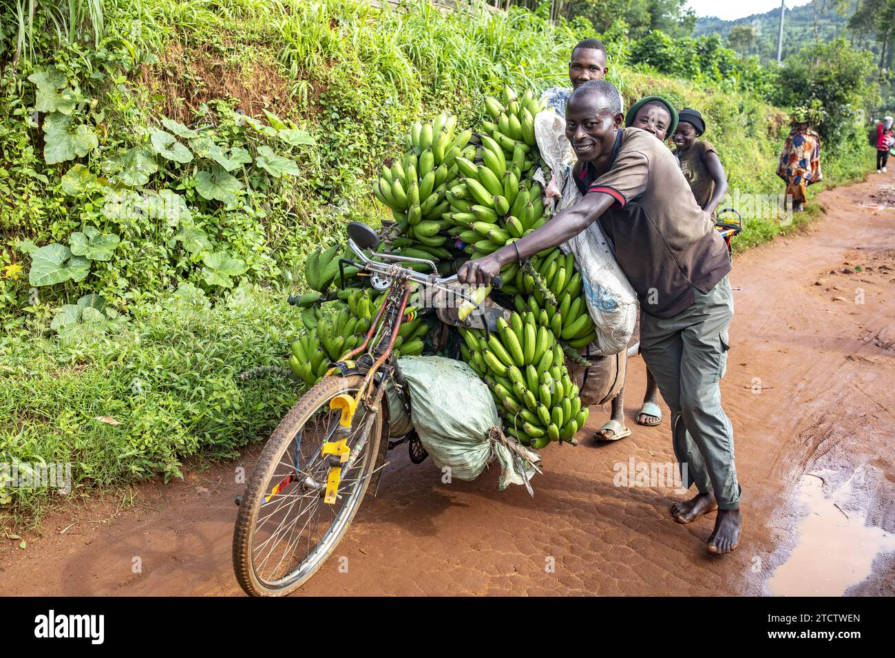 Villagers going to market to sell bananas, Southern province, Rwanda ...