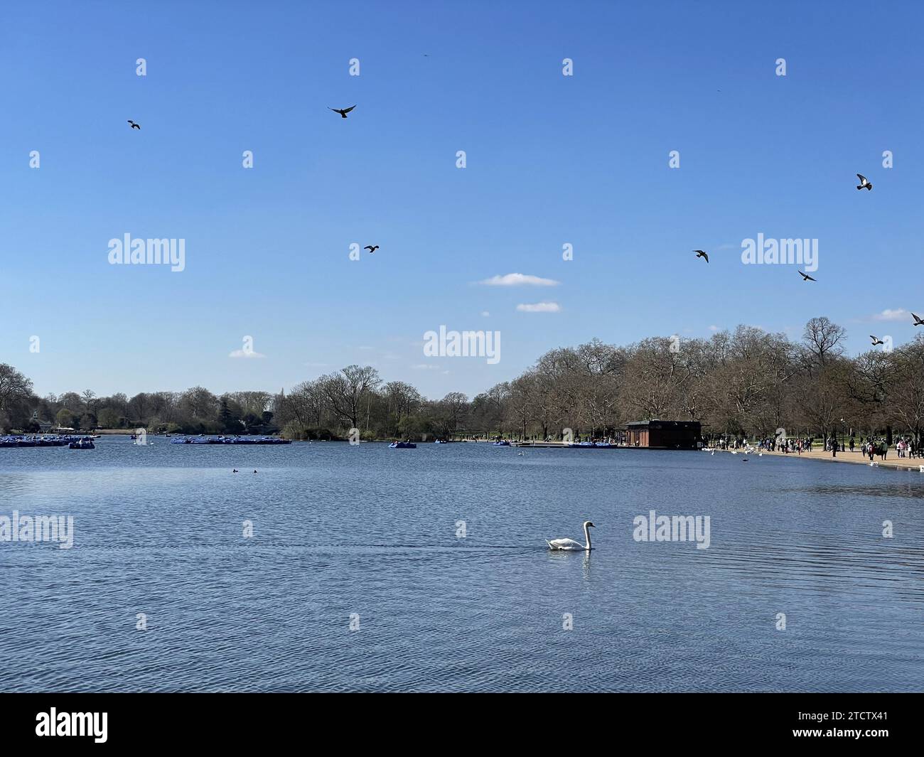 The Serpentine, Hyde Park, London, U.K Stock Photo - Alamy