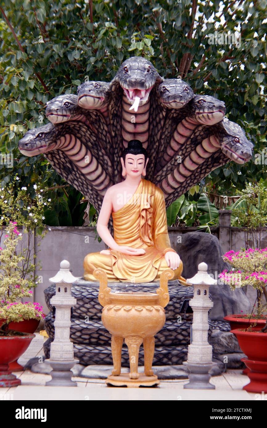 Seven headed naga hi-res stock photography and images - Alamy