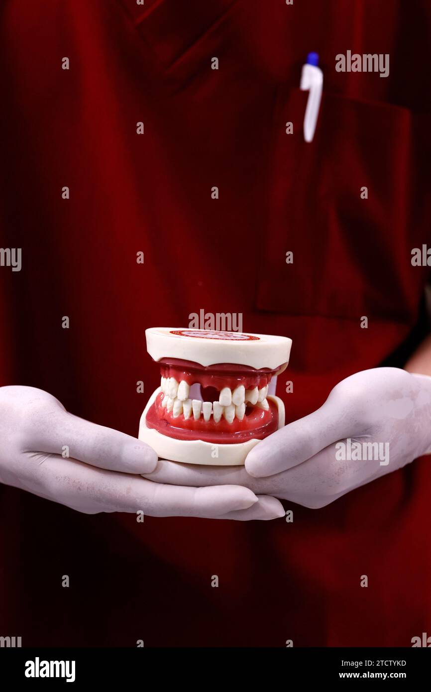 Orthodontist. Dental prosthesis, artificial tooth, prosthetic, hands ...