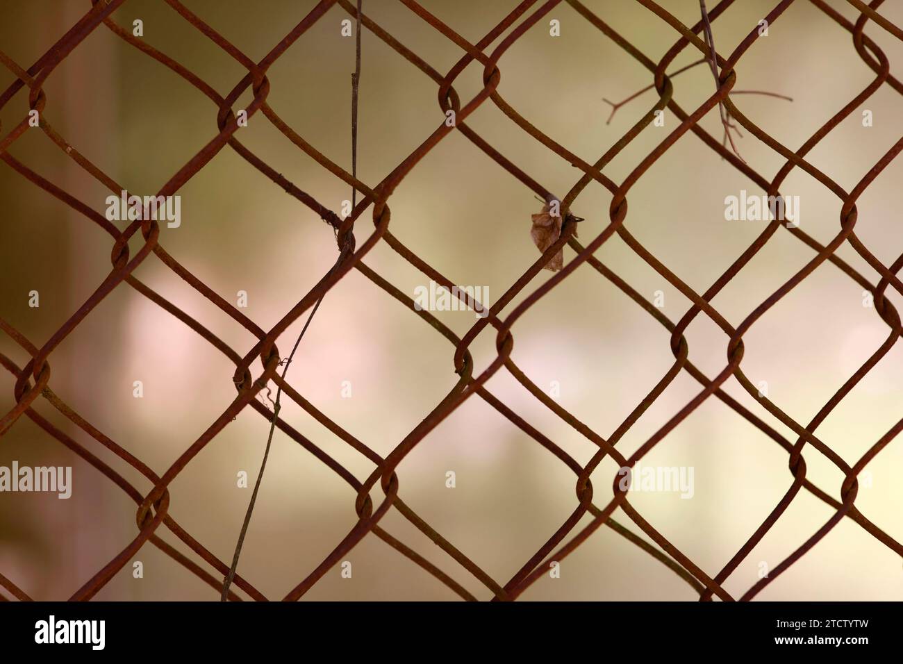 Old rusty fence hi-res stock photography and images - Alamy