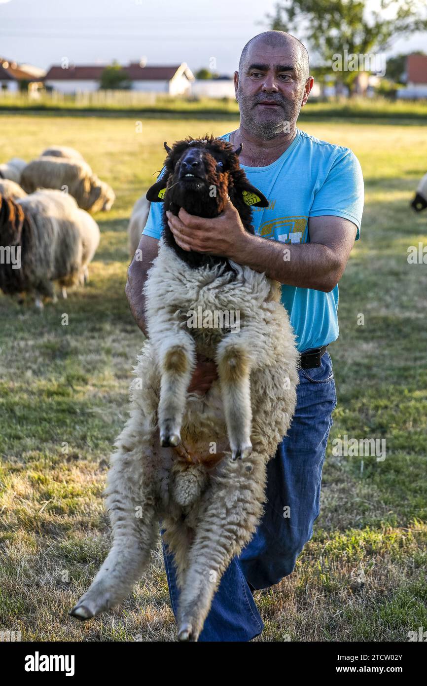 élevage de travail hi-res stock photography and images - Alamy
