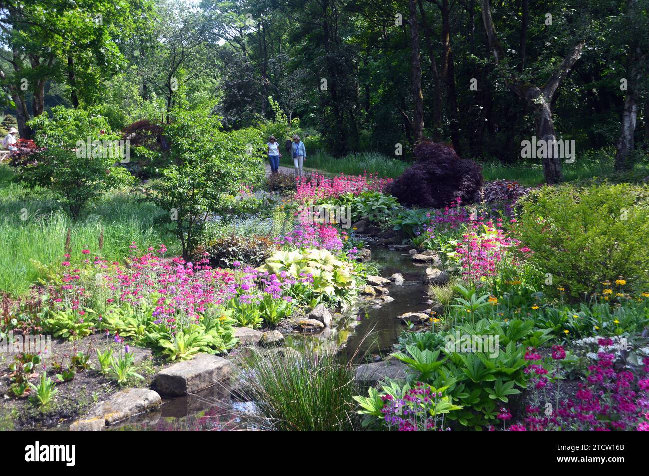 People/Holidaymakers Walking on a Path by the Chinese Streamside Garden ...
