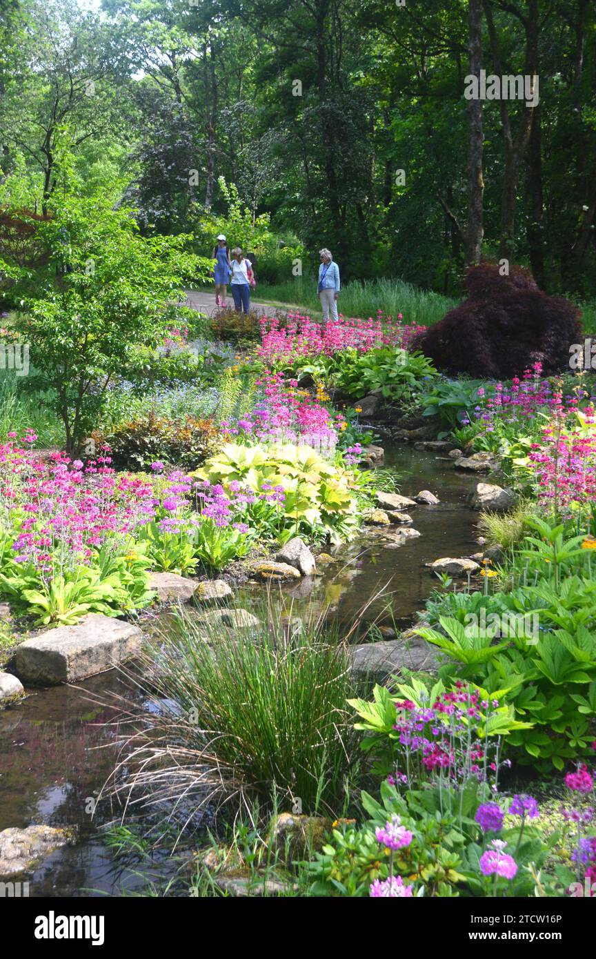 People/Holidaymakers Walking on a Path by the Chinese Streamside Garden ...