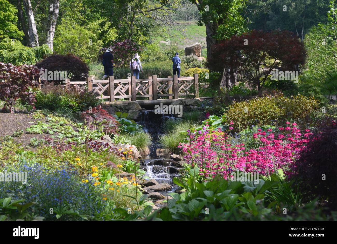 People/Holidaymakers Walking on a Wooden Bridge in the Chinese ...