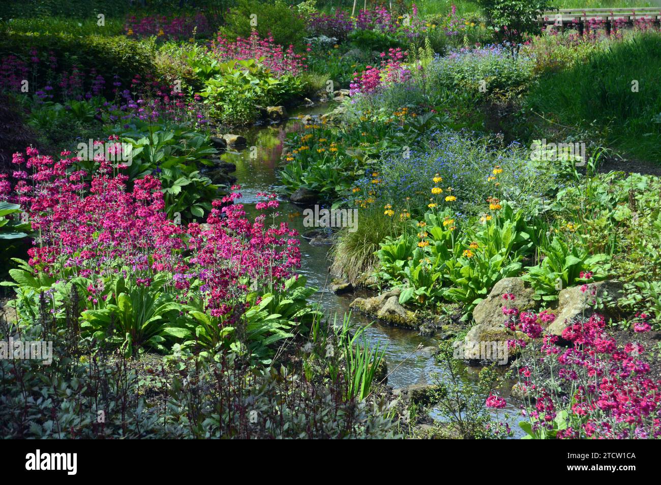 The Chinese Streamside Garden at RHS Bridgewater, Worsley, Greater ...