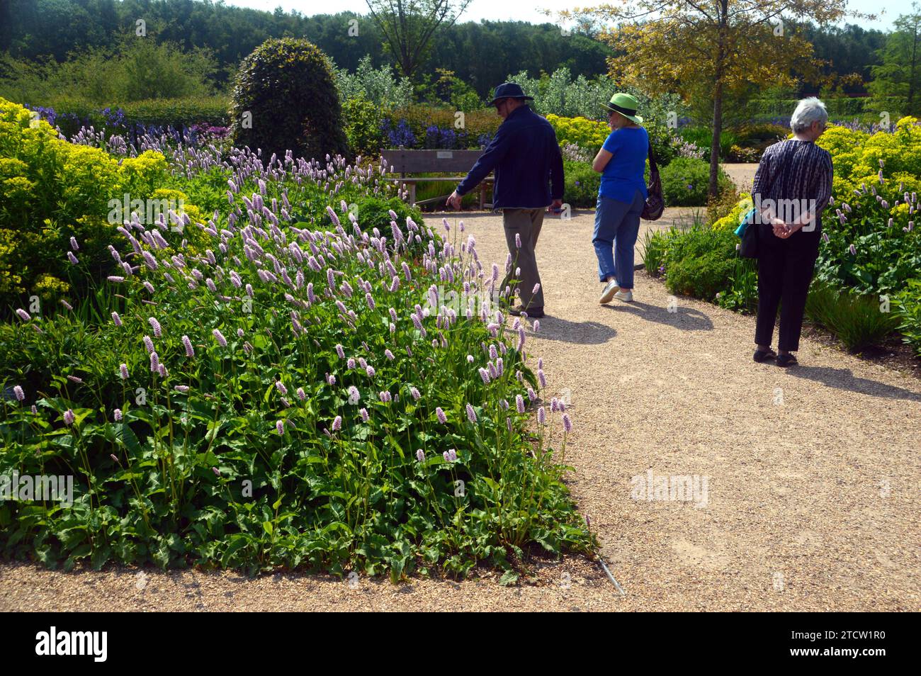 People/Holidaymakers Looking and Walking on a Path by the Flower Beds ...