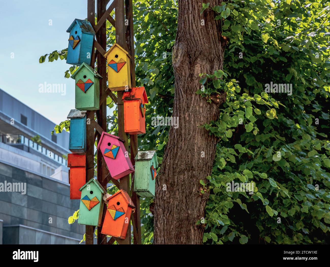 Feathered abodes hi-res stock photography and images - Alamy