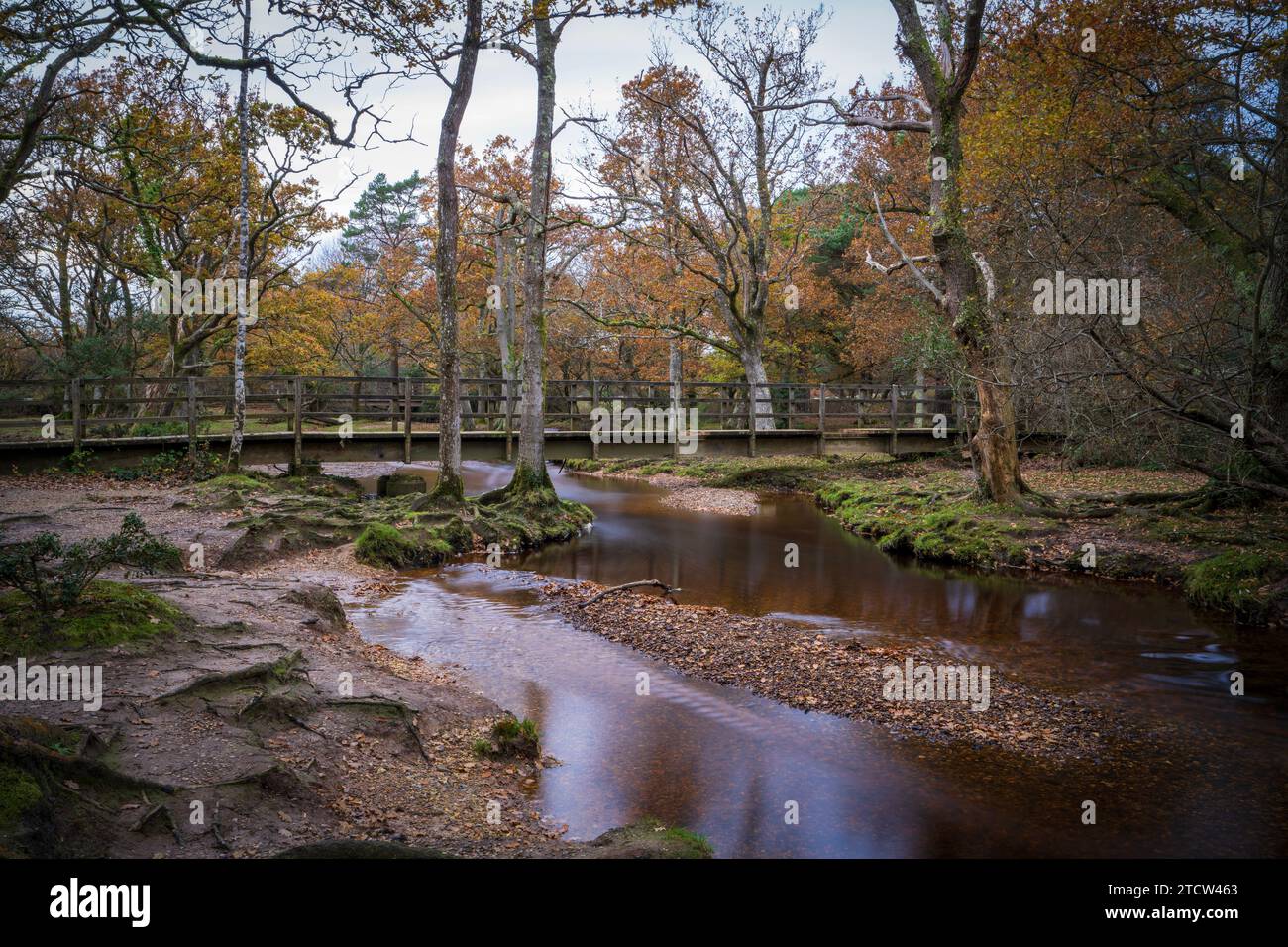 River Ober at Puttles Bridge in the New Forest National Park ...