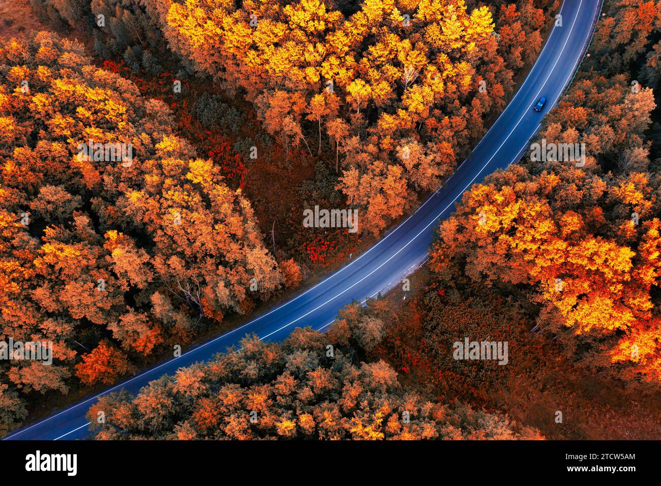 Trails weaving through trees hi-res stock photography and images - Alamy