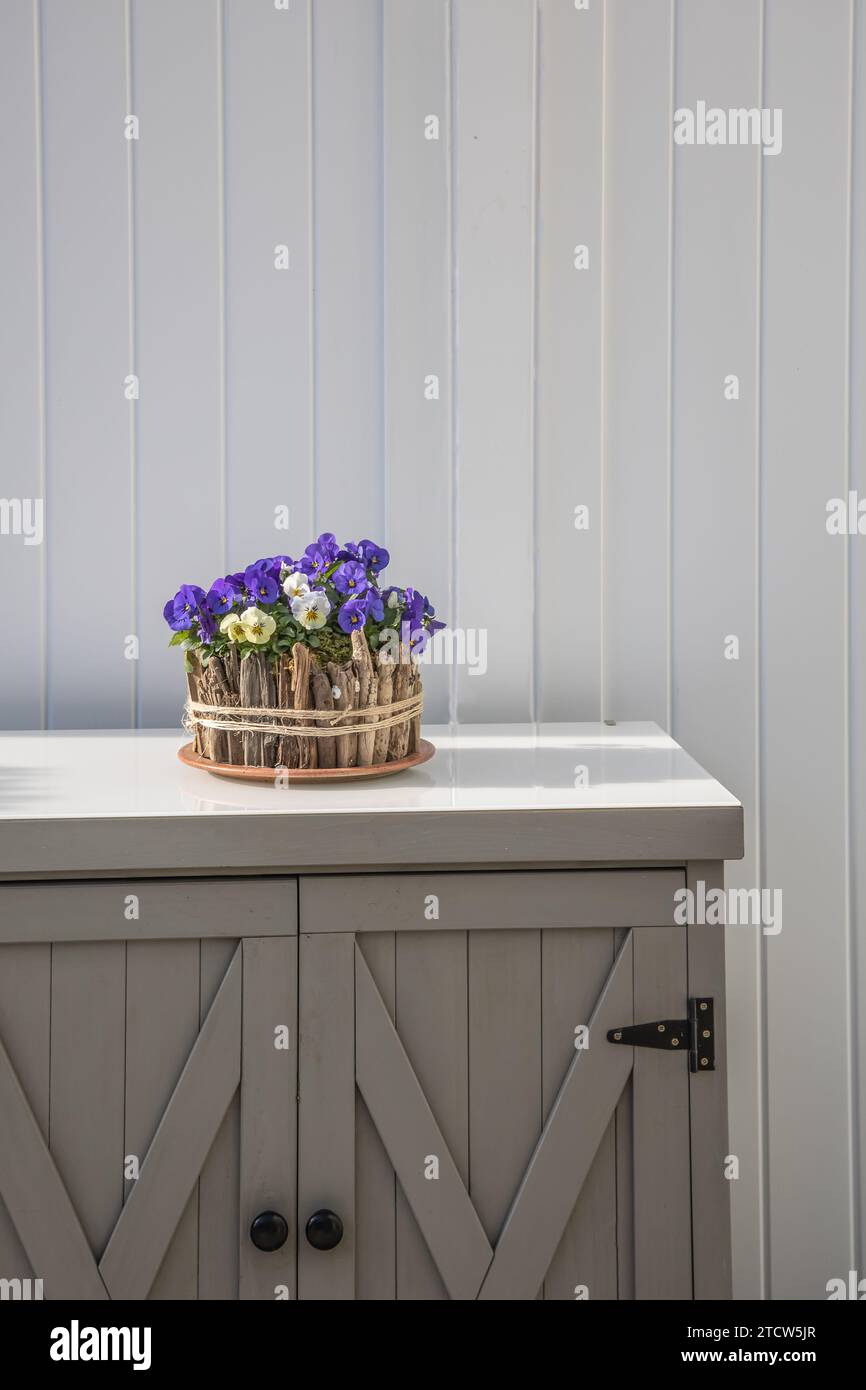 Homet hi-res stock photography and images - Alamy