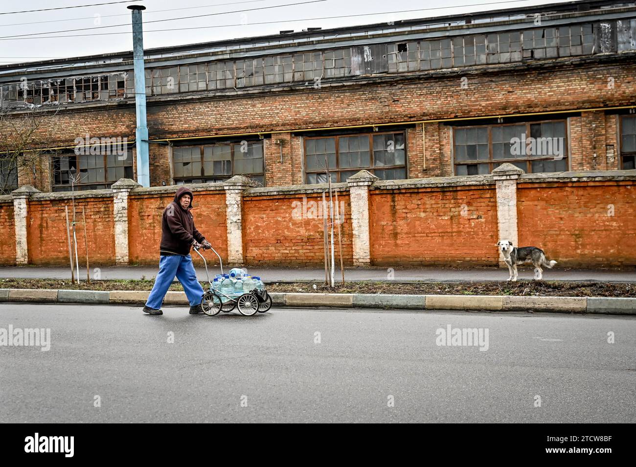 Non Exclusive: MARHANETS, UKRAINE - DECEMBER 12, 2023 - A man pushes a ...