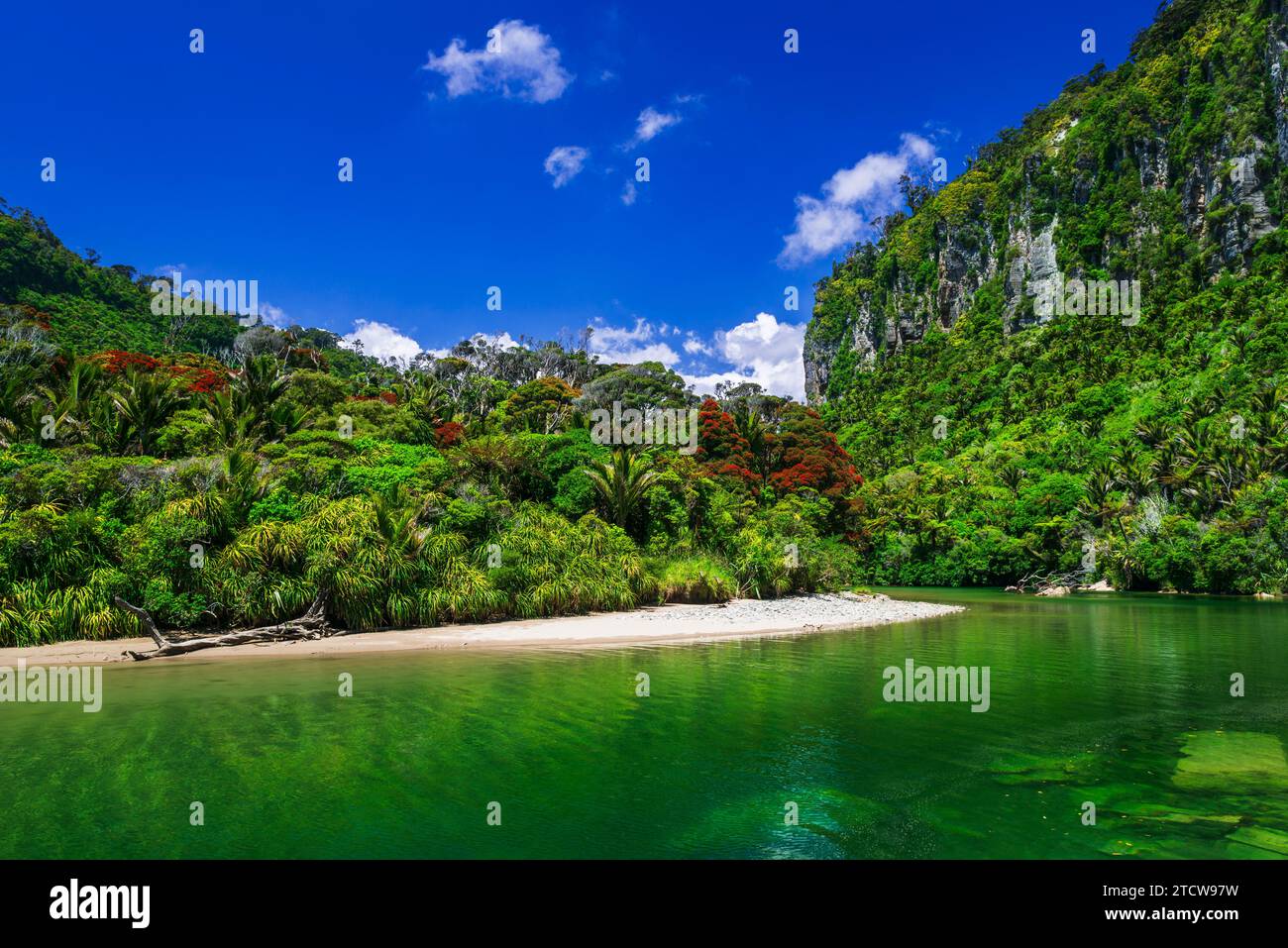 The Pororari River, Paparoa National Park, Punakaiki, New Zealand Stock ...
