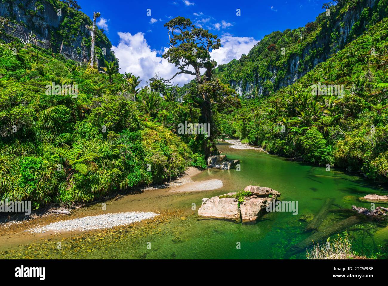 The Pororari River, Paparoa National Park, Punakaiki, New Zealand Stock ...