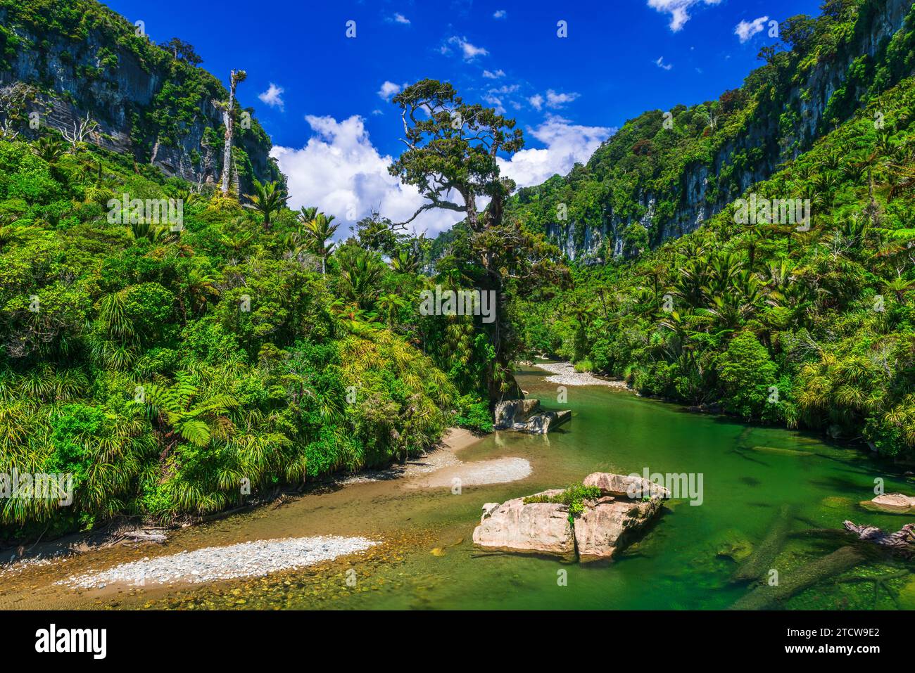 The Pororari River, Paparoa National Park, Punakaiki, New Zealand Stock ...