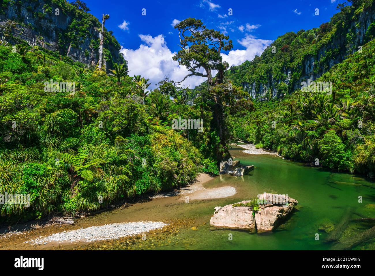 The Pororari River, Paparoa National Park, Punakaiki, New Zealand Stock ...