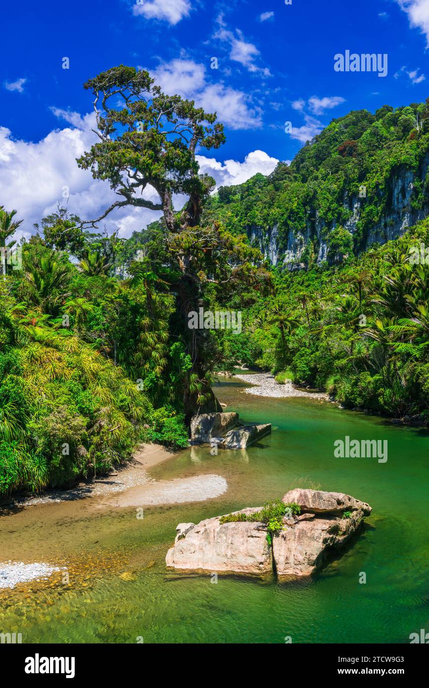 The Pororari River, Paparoa National Park, Punakaiki, New Zealand Stock ...