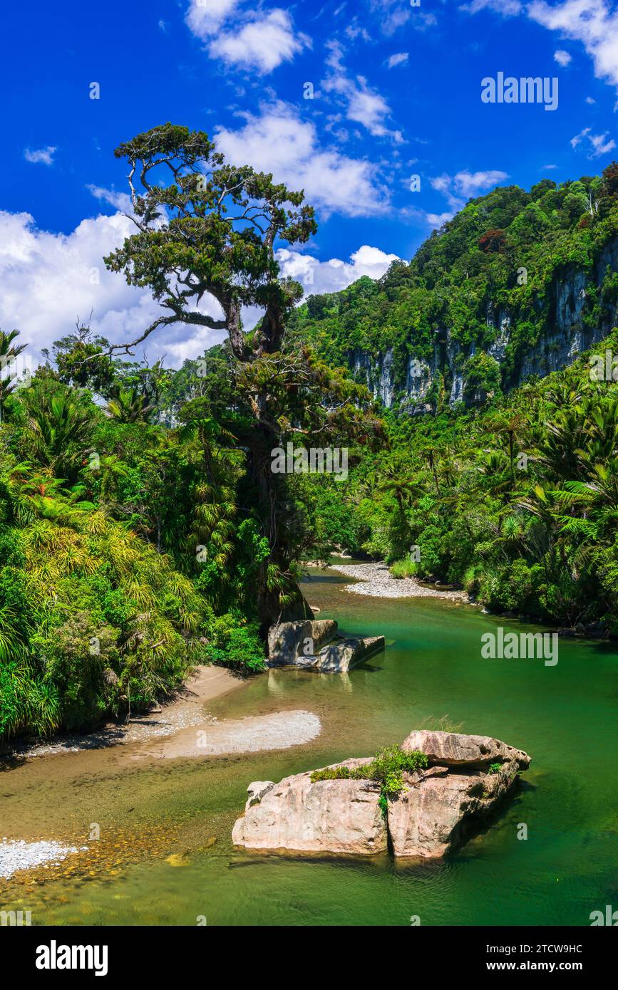 The Pororari River, Paparoa National Park, Punakaiki, New Zealand Stock ...