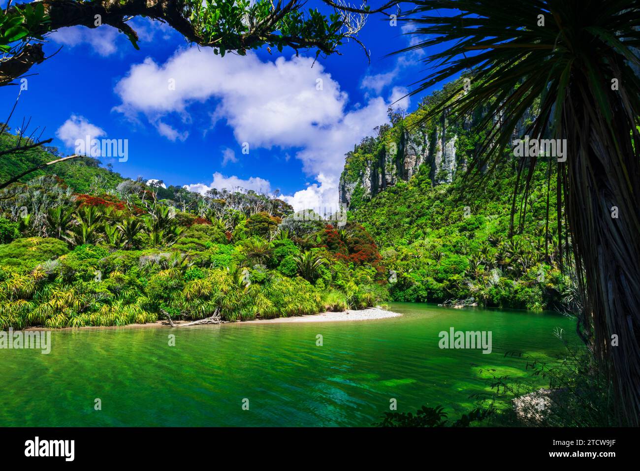 The Pororari River, Paparoa National Park, Punakaiki, New Zealand Stock ...