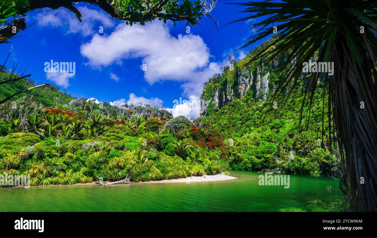 The Pororari River, Paparoa National Park, Punakaiki, New Zealand Stock ...