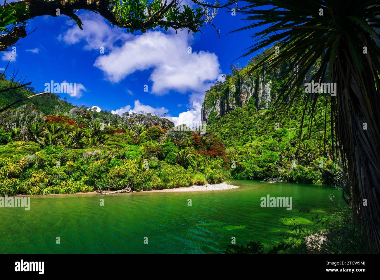 The Pororari River, Paparoa National Park, Punakaiki, New Zealand Stock ...
