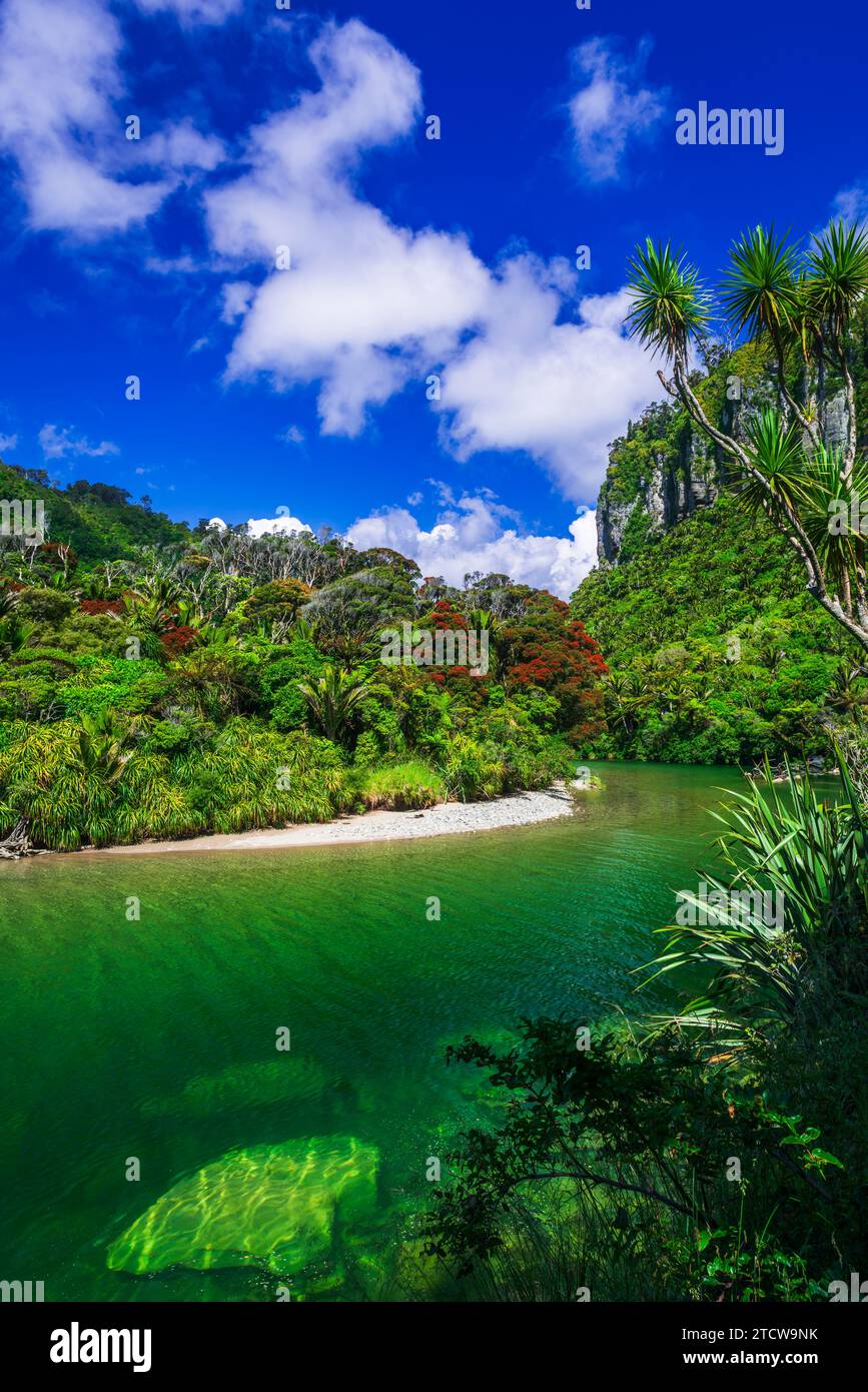 The Pororari River, Paparoa National Park, Punakaiki, New Zealand Stock ...