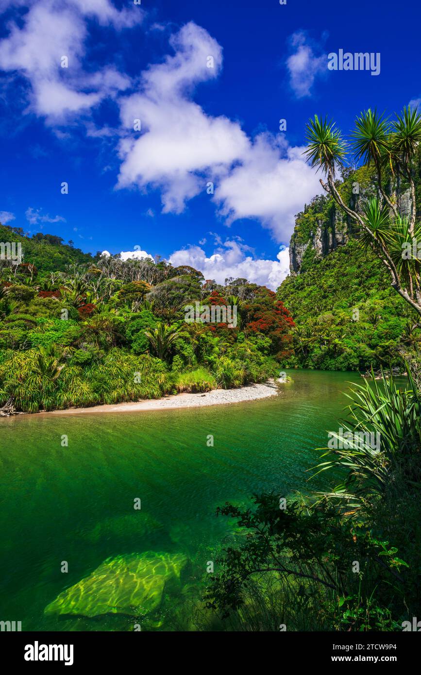 The Pororari River, Paparoa National Park, Punakaiki, New Zealand Stock ...