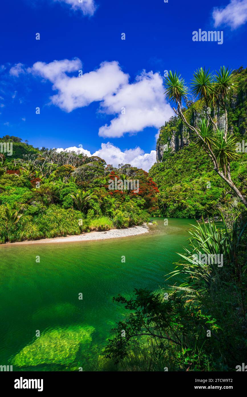 The Pororari River, Paparoa National Park, Punakaiki, New Zealand Stock ...