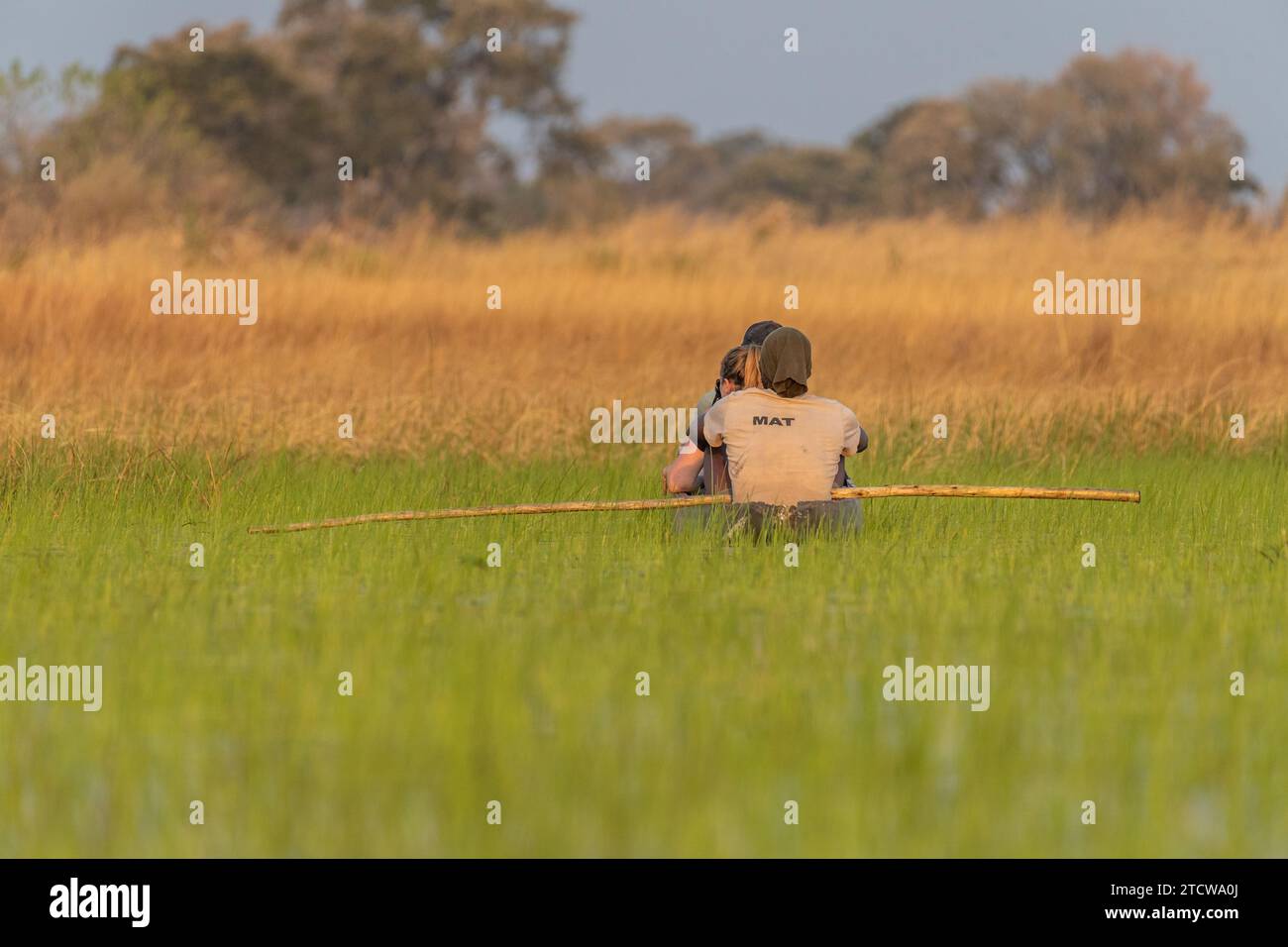 Okavango delta boat elephant hi-res stock photography and images - Alamy