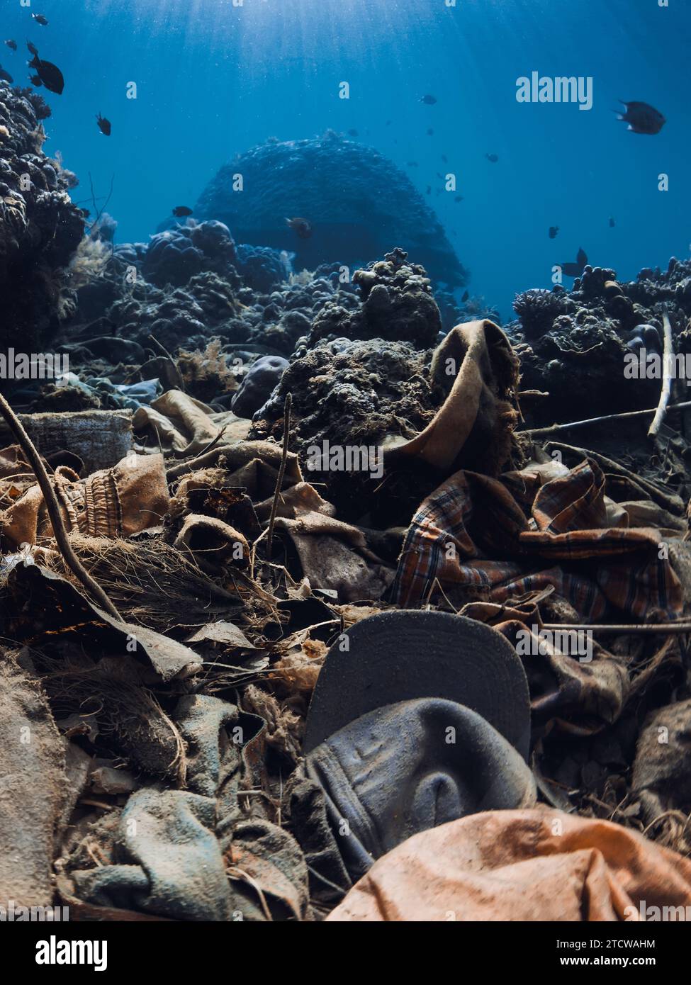 Underwater scene with trash pollution and corals. Tropical sea with ...
