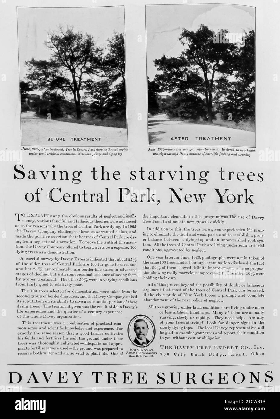 Davey tree surgions hi-res stock photography and images - Alamy