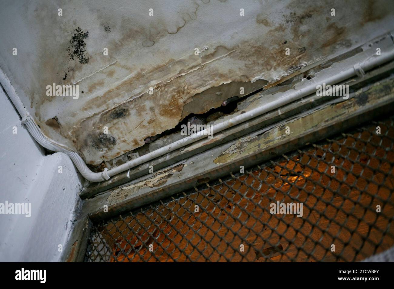 Rat hole hi-res stock photography and images - Alamy