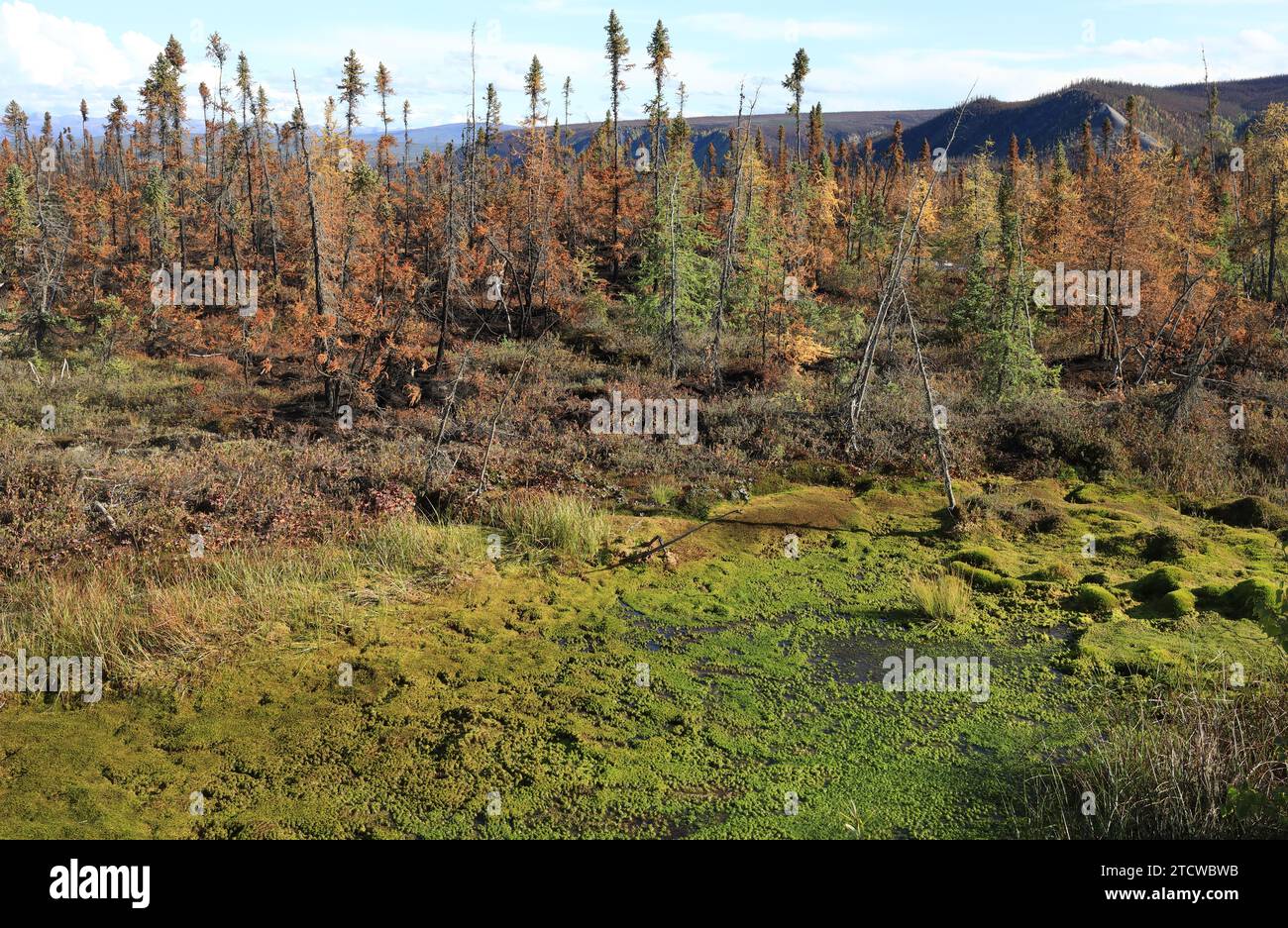 Inuit lands hi-res stock photography and images - Alamy