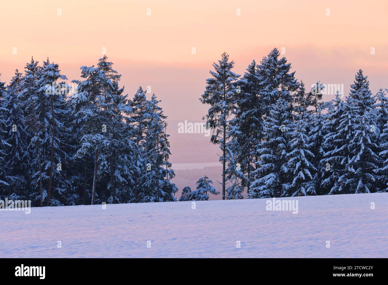 Winter, Baum, Bayern, Oberpfalz, Winterbaum, Schnee, Eis ...