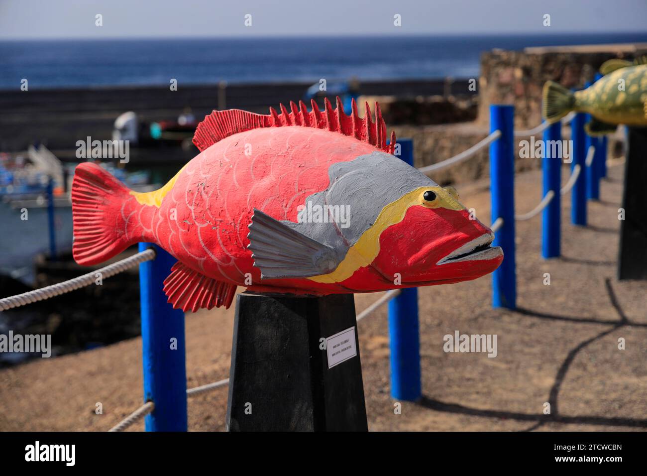 Sculpture of Mediterranean parrotfish Sparisoma cretense, above the ...