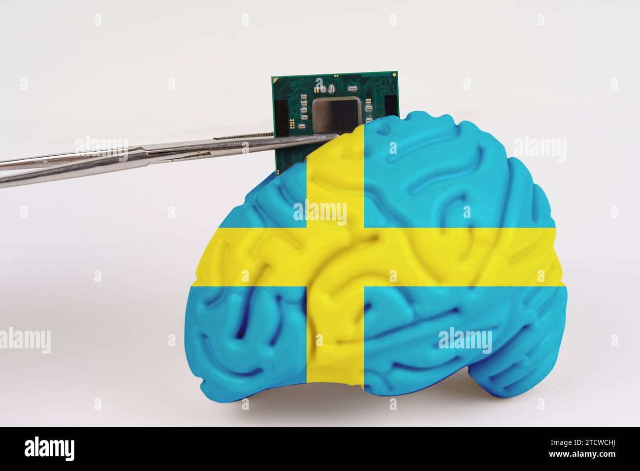 On a white background, a model of the brain with a picture of a flag ...