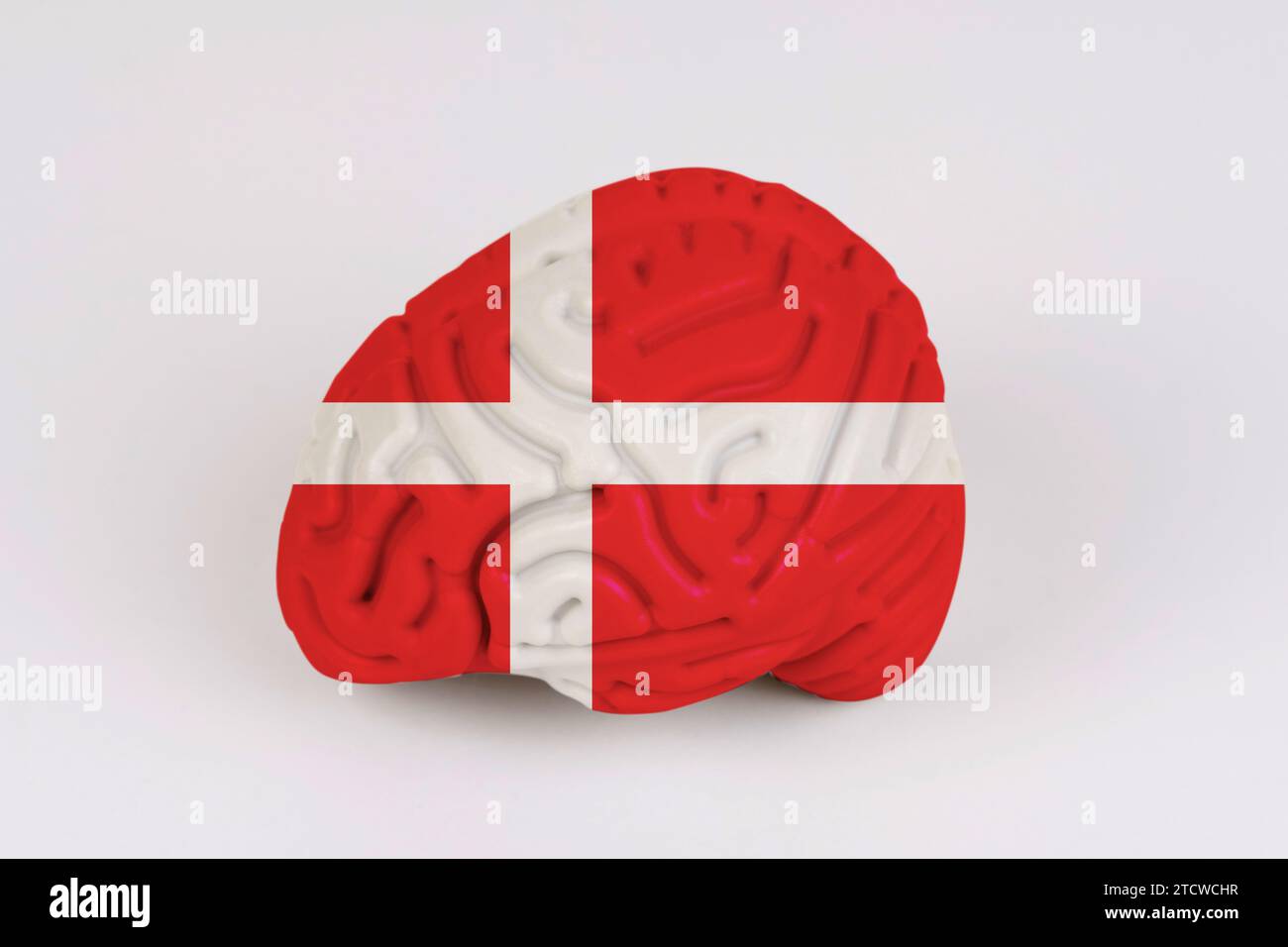 On a white background, a model of the brain with a picture of a flag ...