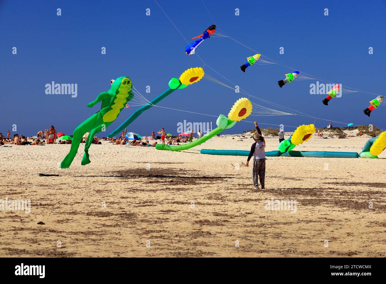 Kite flying, La Concha Beach, El Cotillo, Fuerteventura, Canary Islands ...