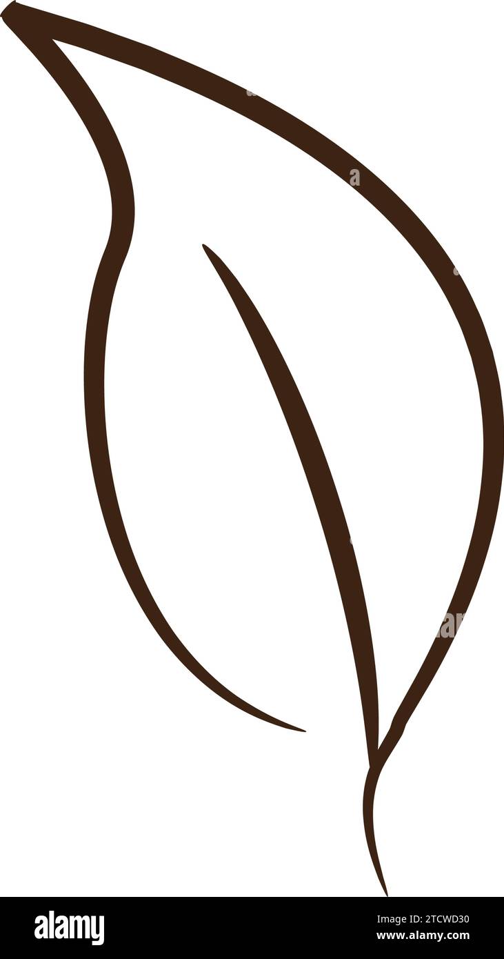 Vintage hand drawn leaf sketch Vector Stock Vector Image & Art - Alamy